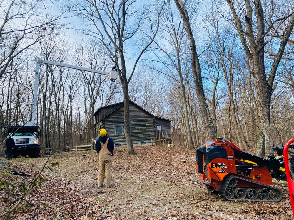 Expert Tree Services for Your Home | El Tree Service LLC